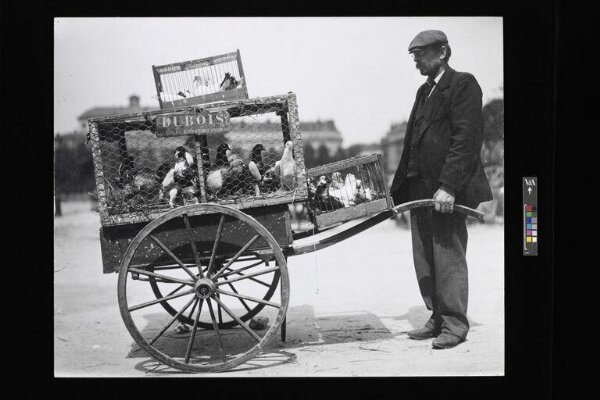 Barrow of birds | Maltby, John | Pitcairn-Knowles, Andrew | V&A Explore ...