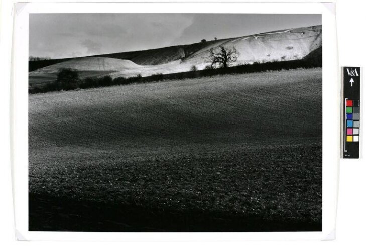 Ridgeway, general view: Dragon Hill, White Horse. | Godwin, Fay | V&A ...