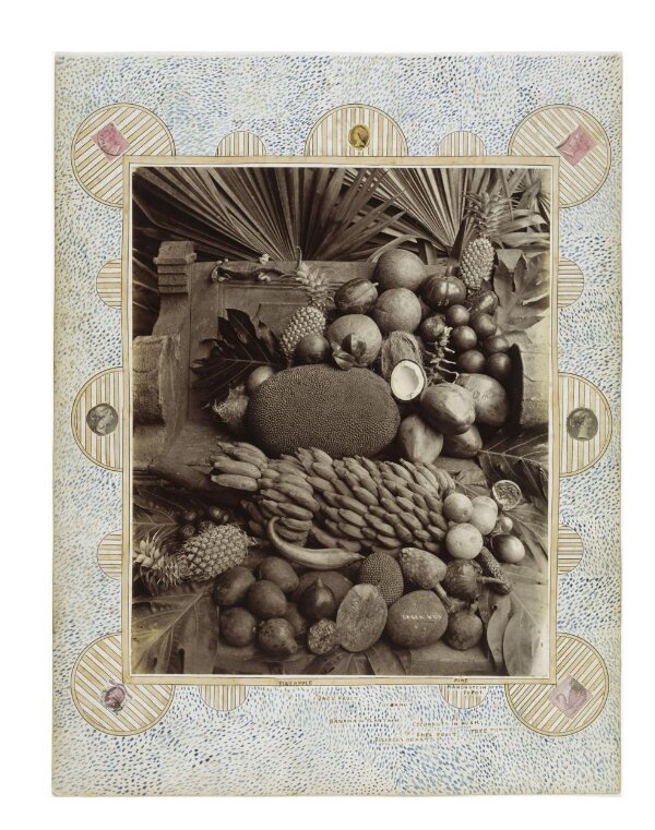 Exotic still life | V&A Explore The Collections