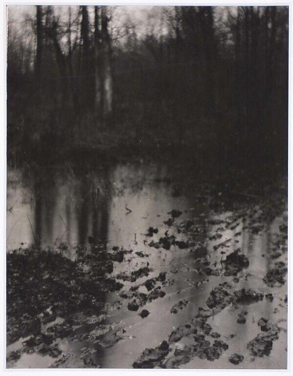 The Pool - Evening | Steichen, Edward | V&A Explore The Collections