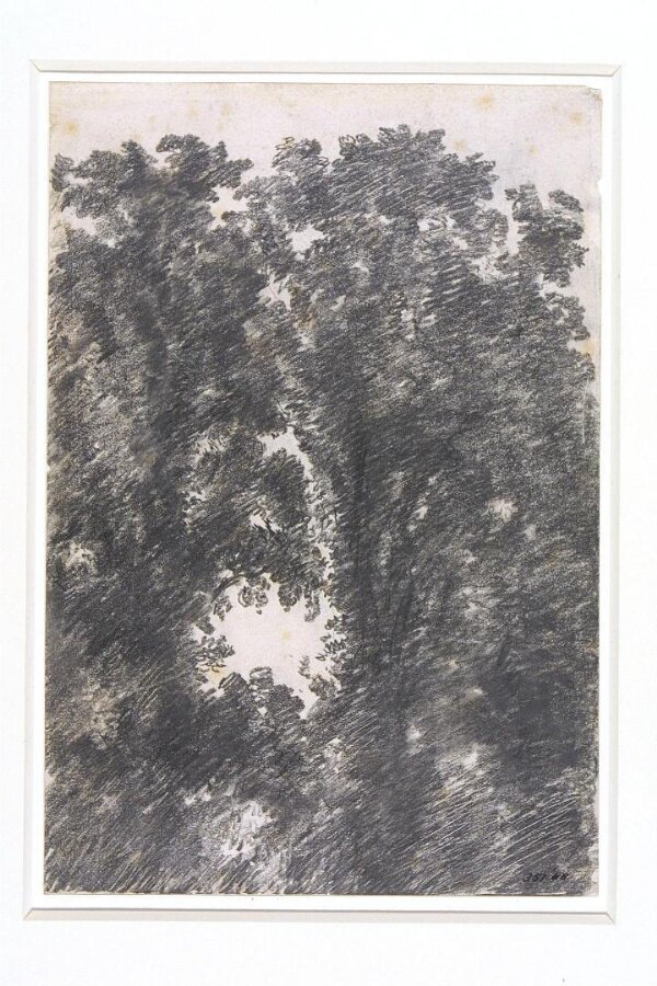Elm trees | Constable, John (RA) | V&A Explore The Collections