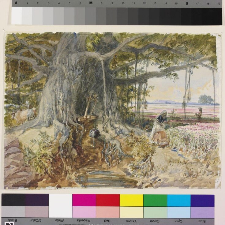 Painting | Simpson, William | V&A Explore The Collections