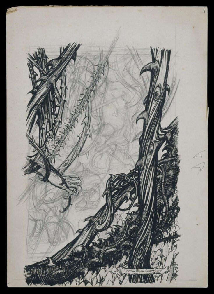 Drawing | Rackham, Arthur | V&A Explore The Collections