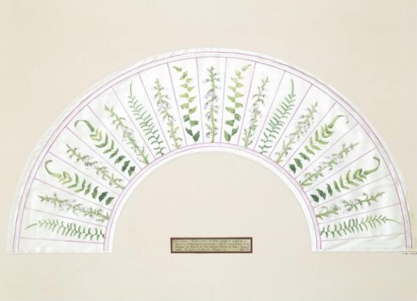 Design | Fry, Priscilla Anna | V&A Explore The Collections