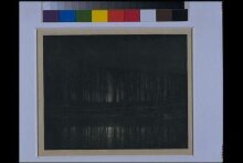 Moonlight: The Pond | Steichen, Edward J. | V&A Explore The Collections