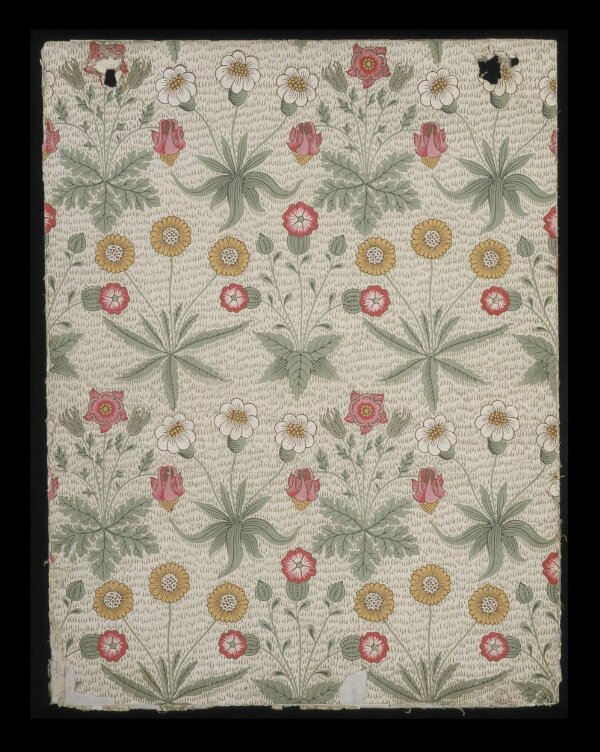 Daisy | Morris, William | V&A Explore The Collections