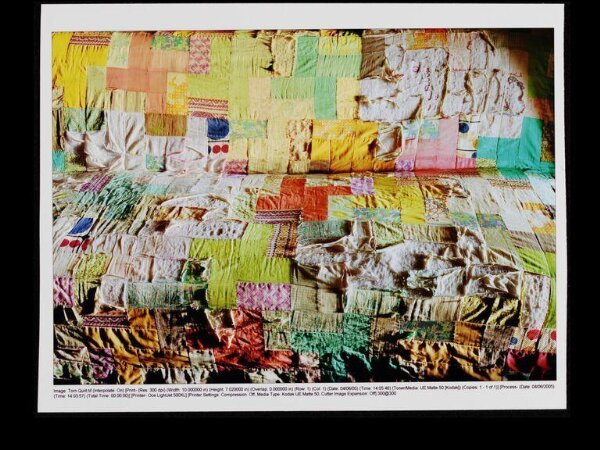 Torn Quilt with Effects of Sunlight | McFarland, Scott | V&A Explore ...