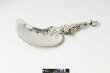 Fish Slice | Beardslee, Candace | V&A Explore The Collections
