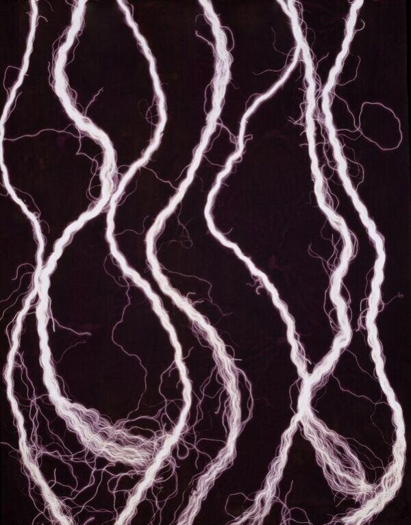 String Stripe | Earley, Rebecca | V&A Explore The Collections