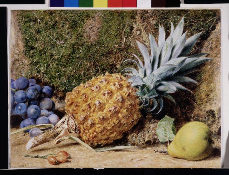 Pinapple with other fruit | William Henry Hunt | V&A Explore The ...