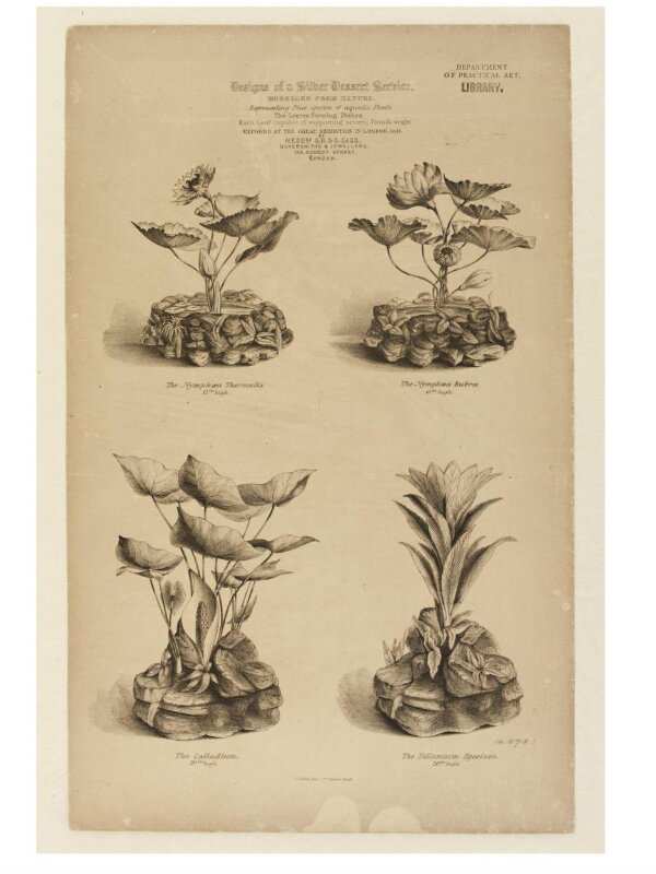 Print | Chabot, C. | V&A Explore The Collections