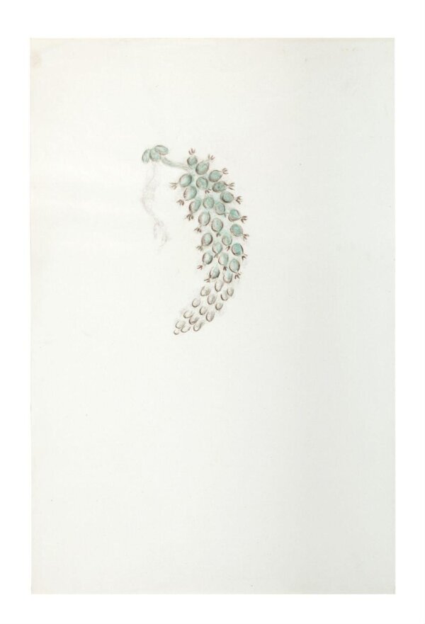 Green Bittersweet | Messel, Oliver Hilary Sambourne | V&A Explore The ...