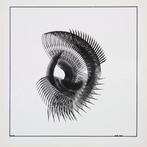 Nautilus | Shaw, Wade D. | V&A Explore The Collections