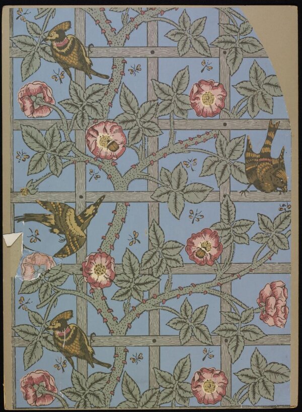 Trellis | Morris, William | V&A Explore The Collections