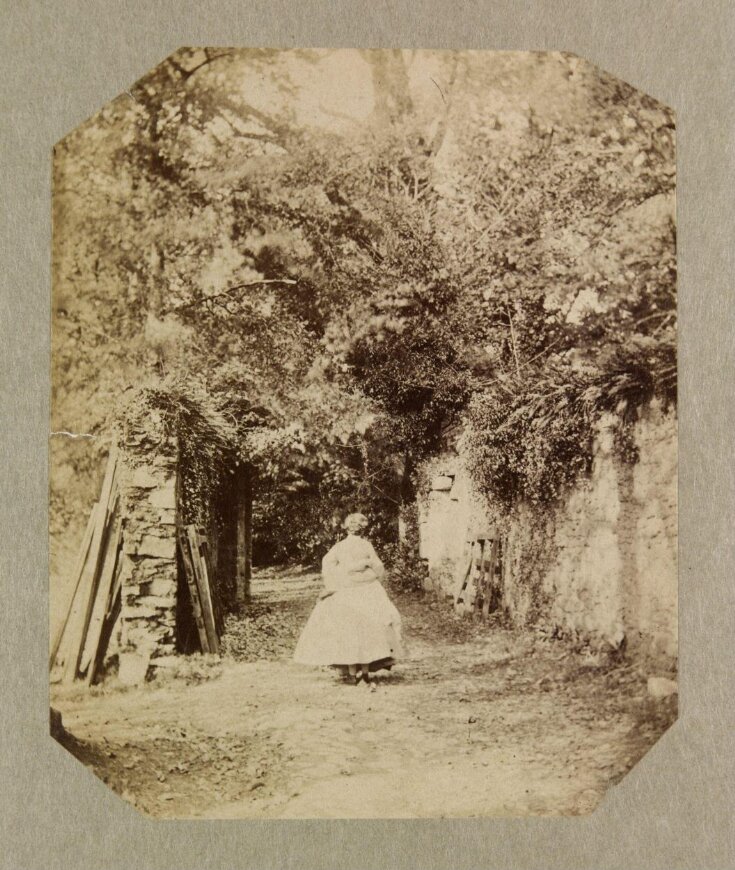 Photograph | Clementina, Lady Hawarden | V&A Explore The Collections