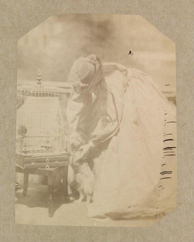 Photograph | Clementina, Lady Hawarden | V&A Explore The Collections