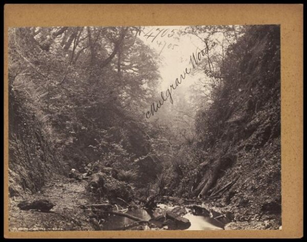 Mulgrave Woods | Francis Frith | V&A Explore The Collections