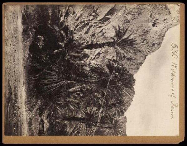 Wilderness of Paran | Good, Frank Mason | Frith, Francis | V&A Explore ...