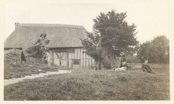 National Photographic Record and Survey | Lawrence, Basil, E. (Mr) | V ...