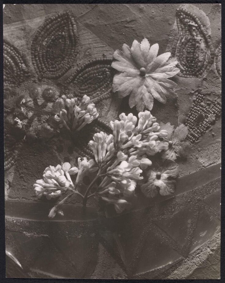 Photograph | Curtis Moffat | V&A Explore The Collections