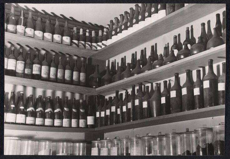 Photograph | Curtis Moffat | V&A Explore The Collections