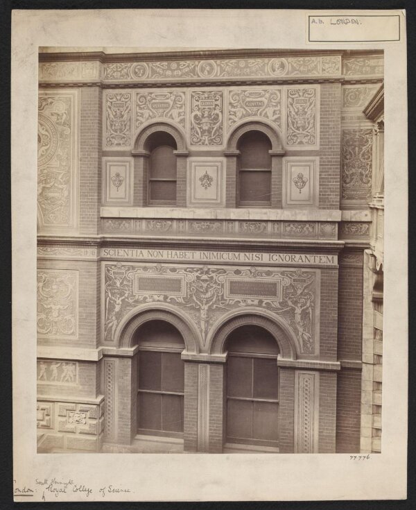 Engraved plaster decoration (sgraffito) on the east side of the Science ...
