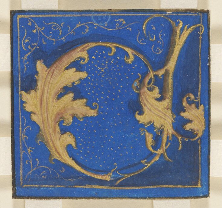 Decorated initial P | V&A Explore The Collections