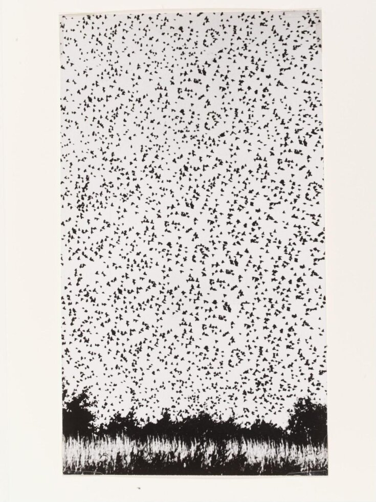 Isskrenda Ruduo | Rakauskas, Romualdas | V&A Explore The Collections