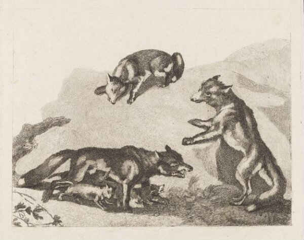 Wolves | Byrne, Letitia | V&A Explore The Collections