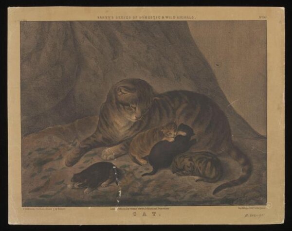 Varty's Series of Domestic & Wild Animals | Robinson, Frederick ...