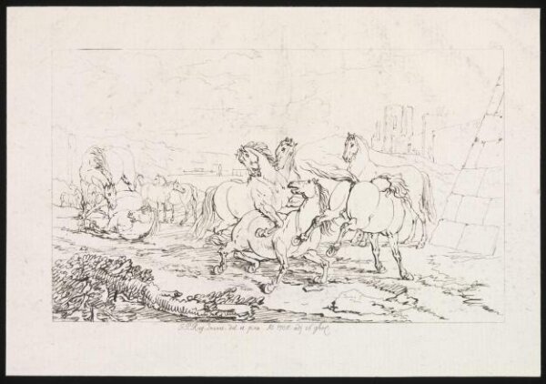 Print | Rugendas, Georg Philipp I | V&A Explore The Collections