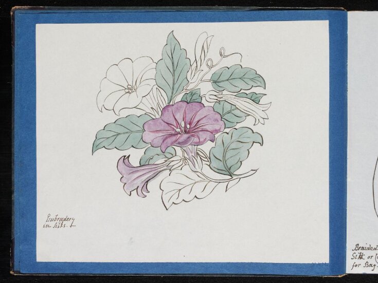 Embroidery Design | Bland, Sarah | V&A Explore The Collections