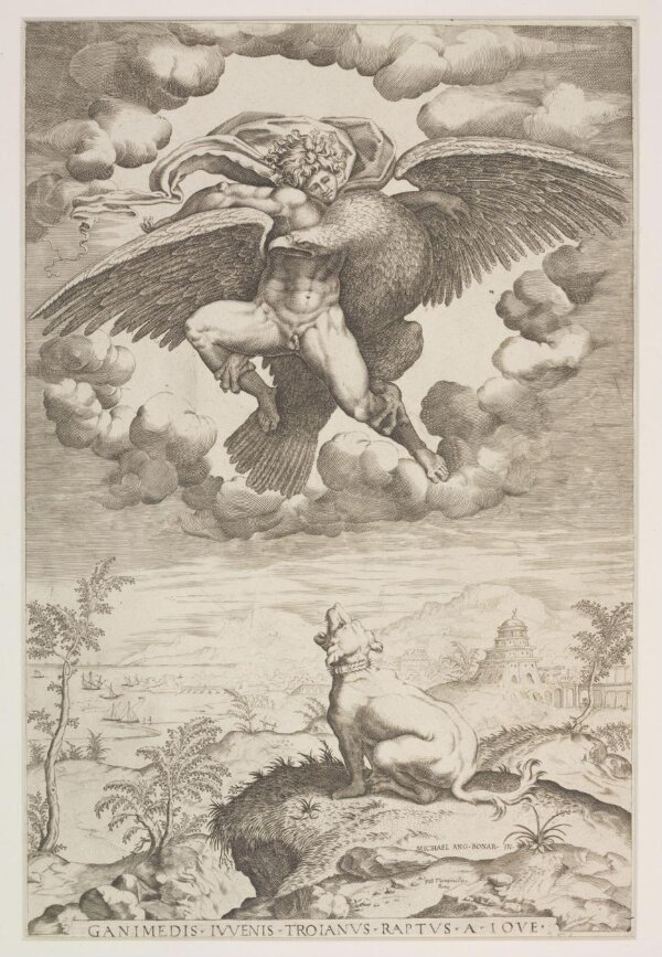 Rape of Ganymede | Marcantonio Raimondi | Michelangelo | V&A Explore ...