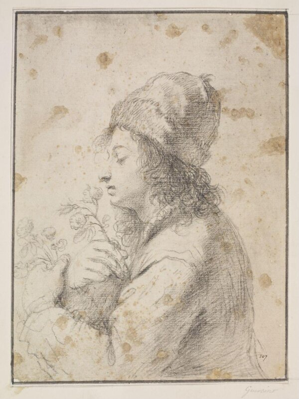 Drawing | Guercino | V&A Explore The Collections