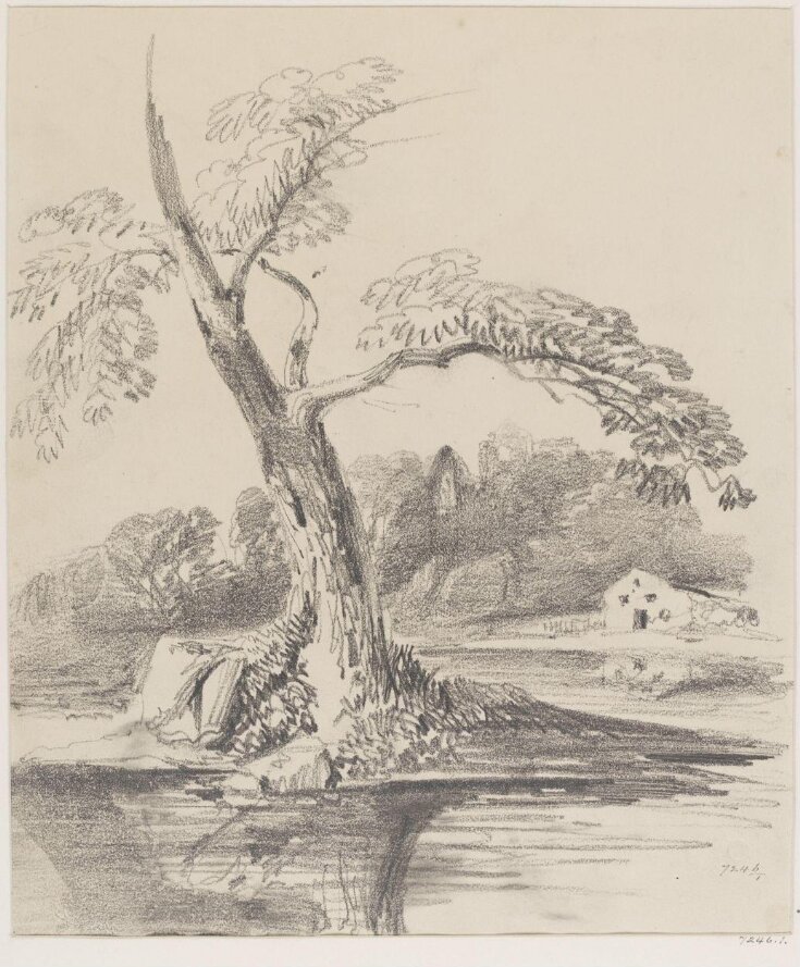 Drawing | Harding, James Duffield | V&A Explore The Collections