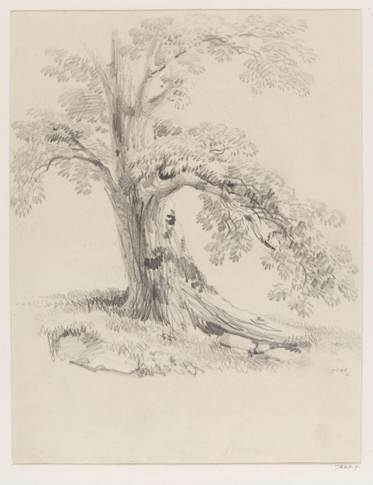 Drawing | Harding, James Duffield | V&A Explore The Collections