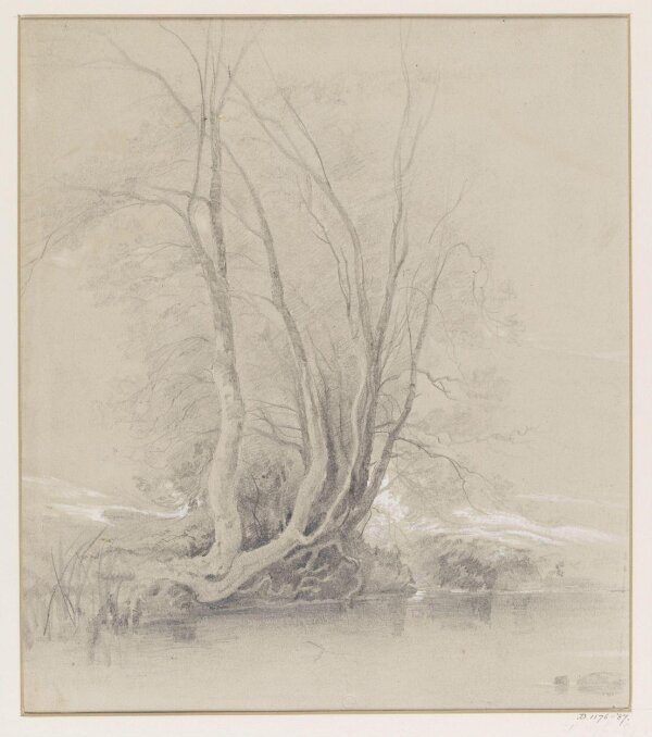 Drawing | Hering, George Edwards | V&A Explore The Collections