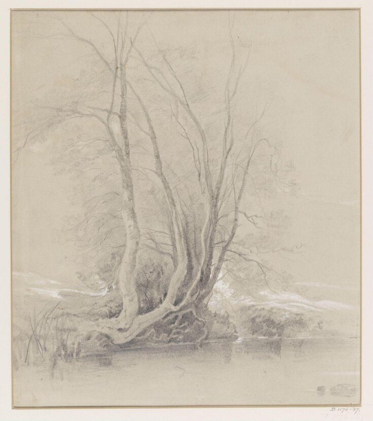 Drawing | Hering, George Edwards | V&A Explore The Collections