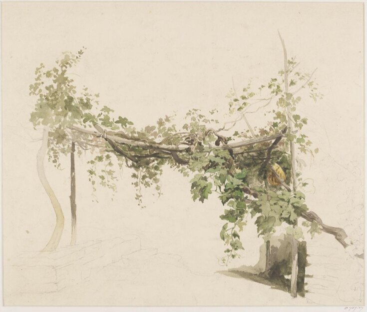 Drawing | Hering, George Edwards | V&A Explore The Collections