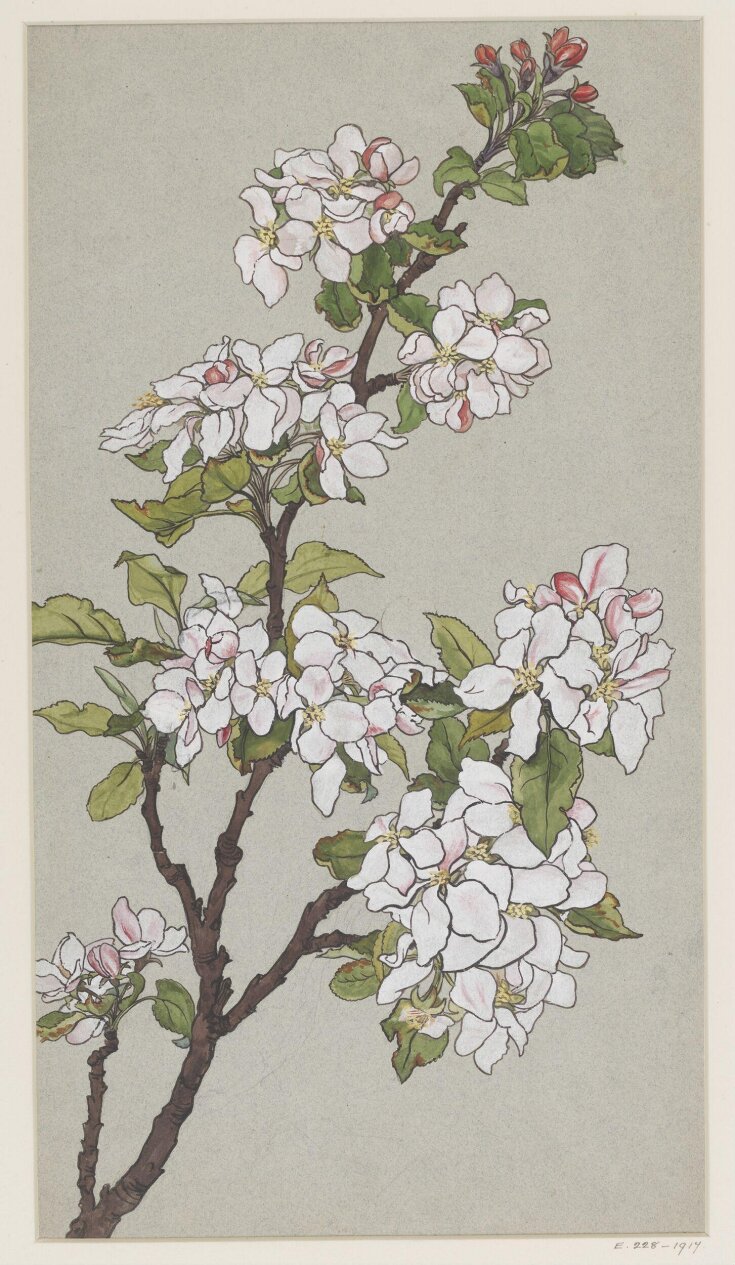 Drawing | Spiers, Charlotte Horn | V&A Explore The Collections
