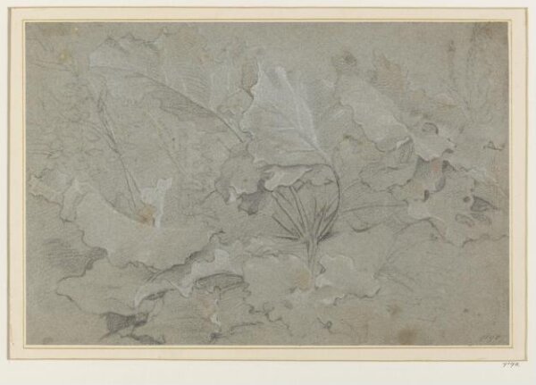 Drawing | Wilson, Richard RA | V&A Explore The Collections