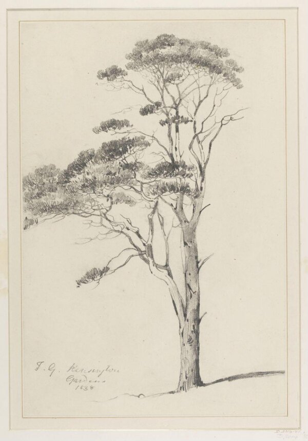 Drawing | | V&A Explore The Collections