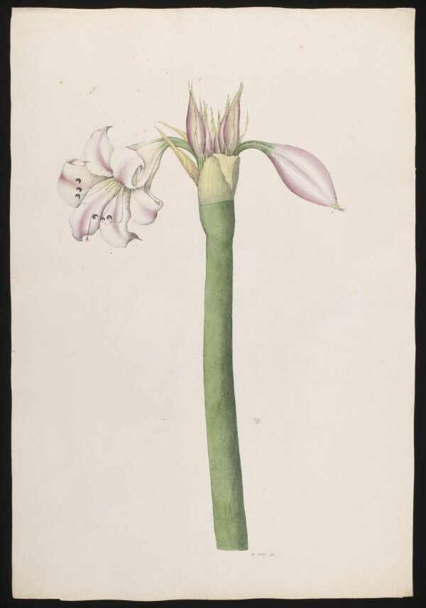 Print | Ker, Charles Henry Bellenden | V&A Explore The Collections