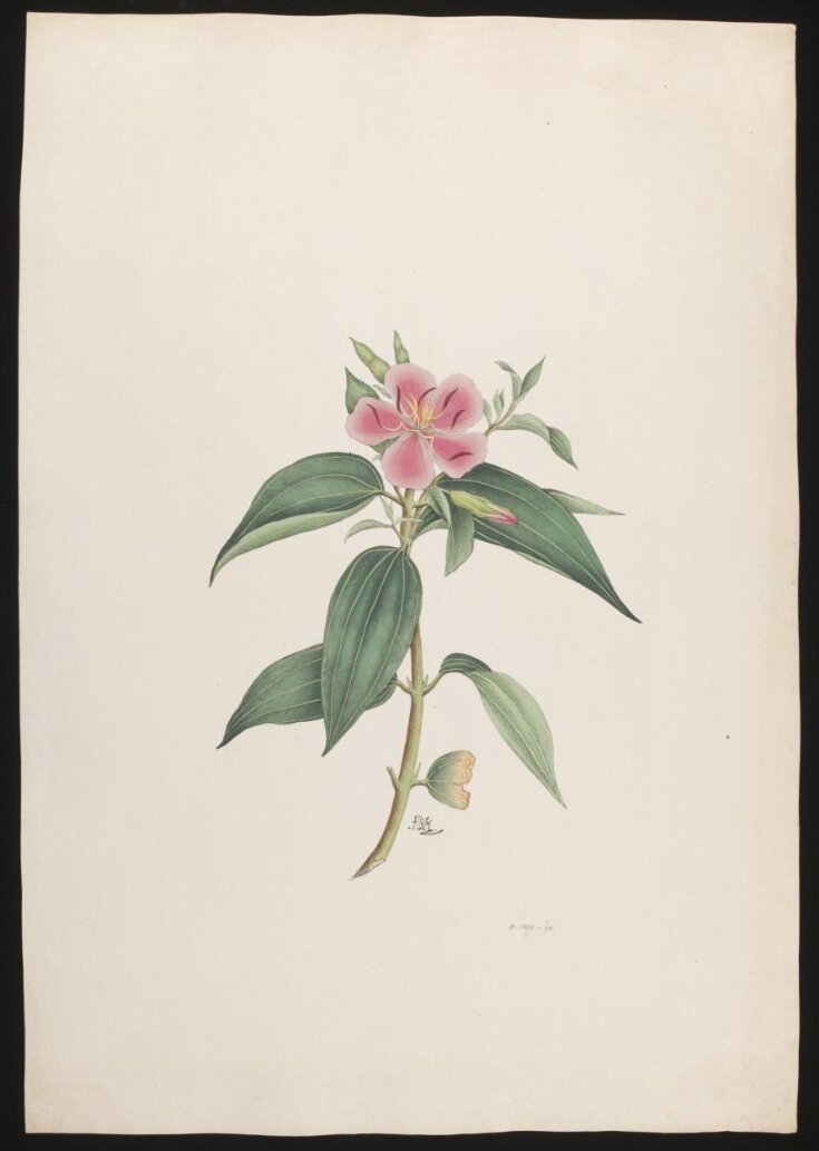 Print | Ker, Charles Henry Bellenden | V&A Explore The Collections