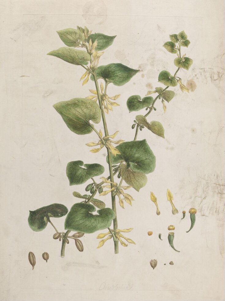 Print | John Miller | V&A Explore The Collections