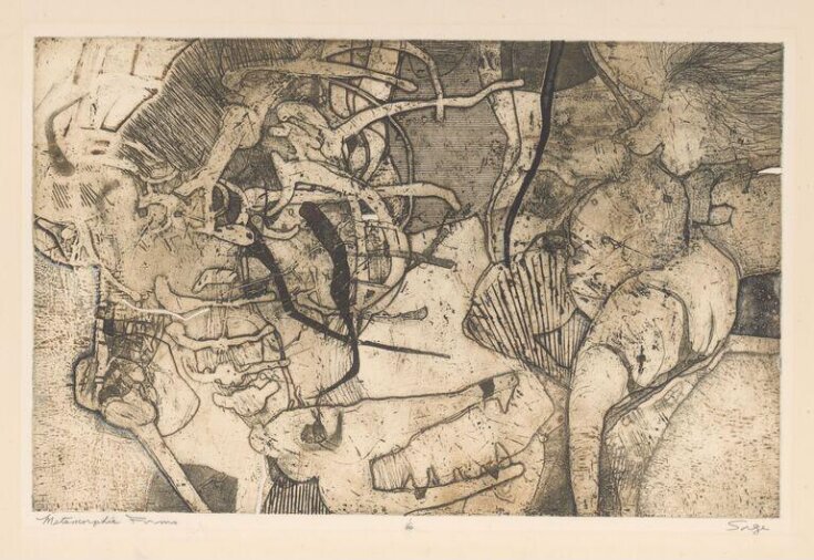 Metamorphic Forms | Walter Sorge | V&A Explore The Collections