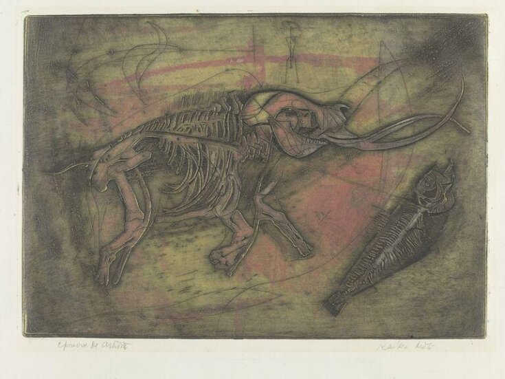 Skeletal Forms | Moti, Kaiko | V&A Explore The Collections