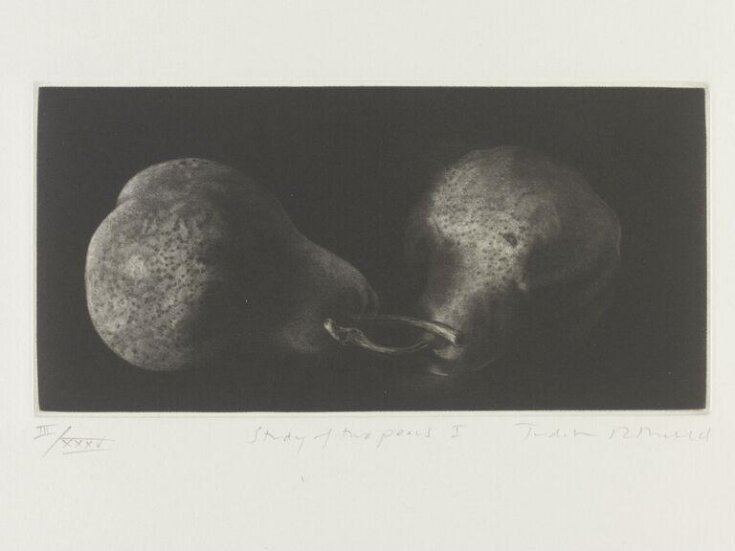 Study of two pears I | Rothchild, Judith | V&A Explore The Collections