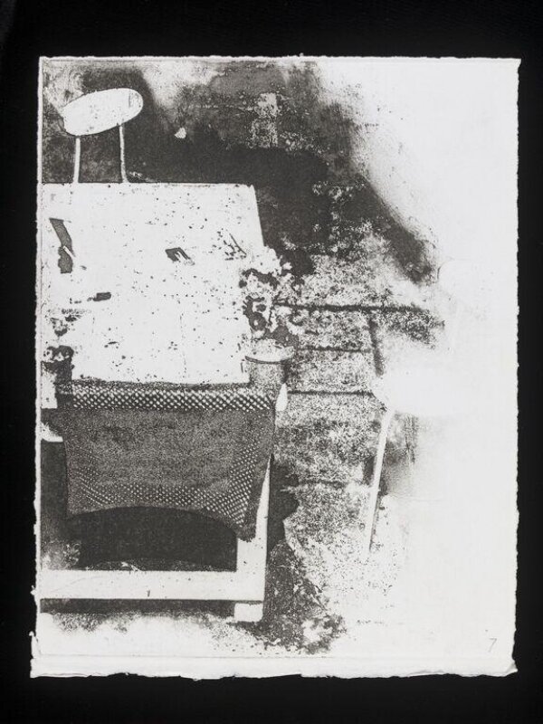 Another Person's Garden III | Wakely, Shelagh | V&A Explore The Collections