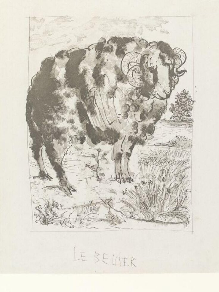 Histoire Naturelle | Picasso, Pablo | Fabiani, Alberto | Lacouriere ...